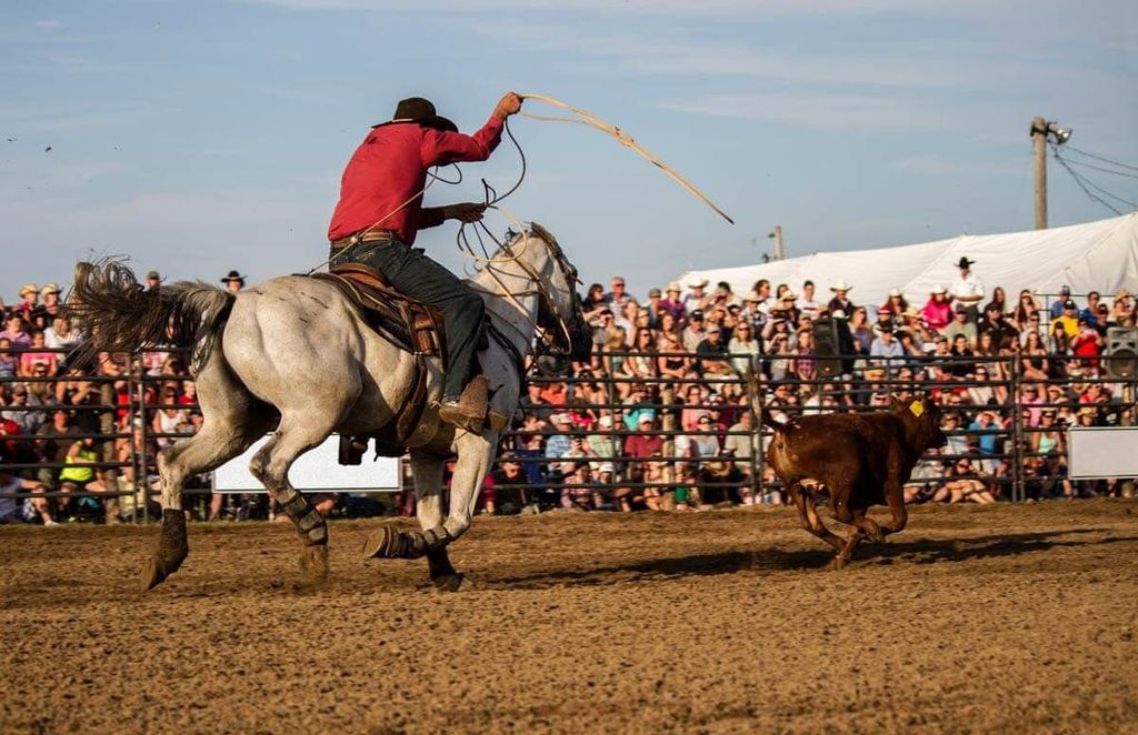 Six Must-See Livestock, Horse, and Rodeo Shows in 2022