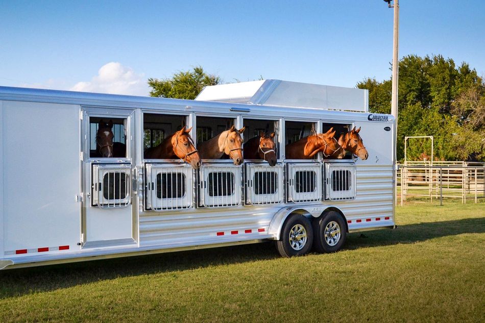 Cimarron Livestock Trailers for Sale | Transwest