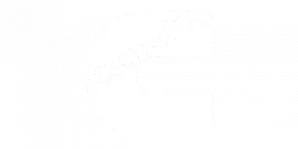 Transwest Mobile Service Near Me - We Bring the Dealership to You